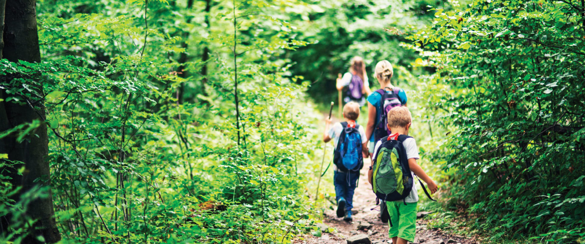 Hiking with Kids: An Outdoor Adventure for the Whole Family