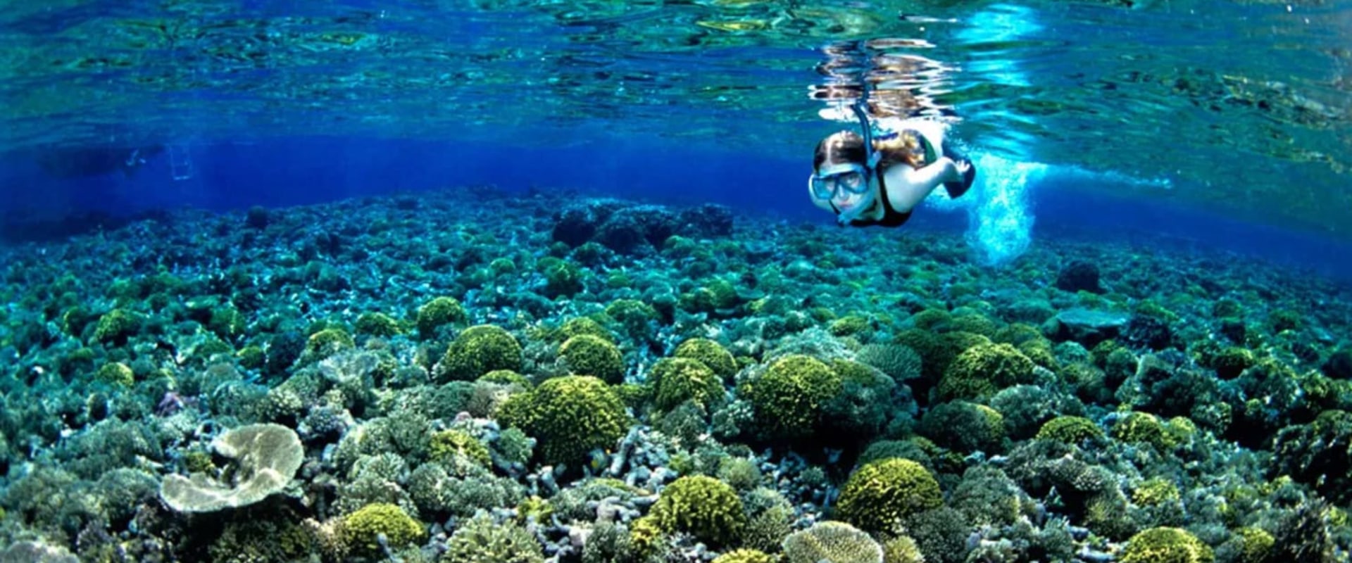 Exploring Snorkeling Trips and Tours